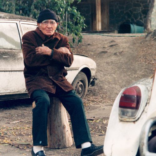 Buzz - View Master Films